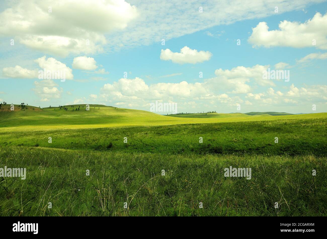 Green overgrown slope and hills hi-res stock photography and images - Alamy