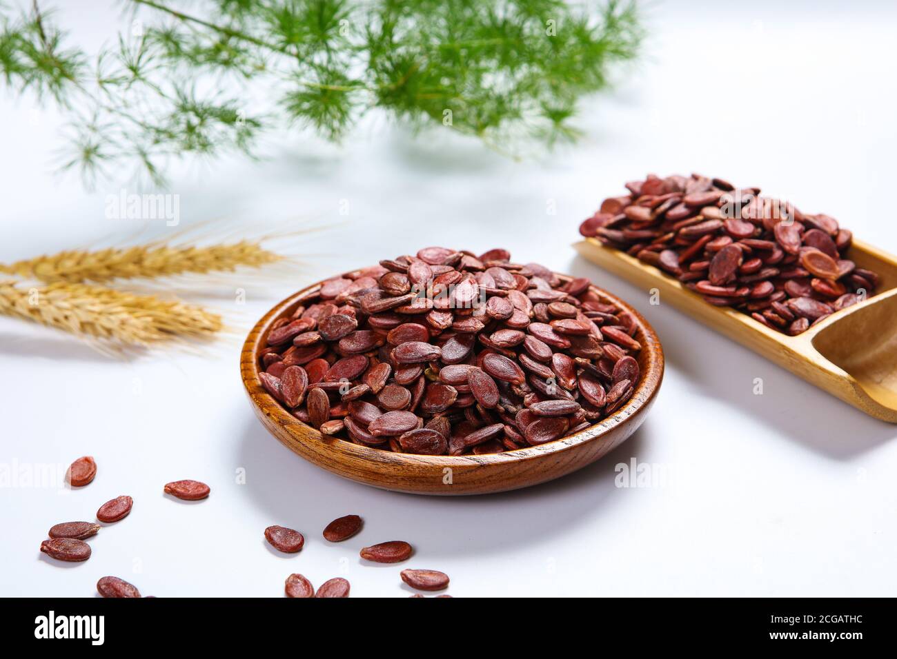 Melon Seeds High Resolution Stock Photography and Images - Alamy