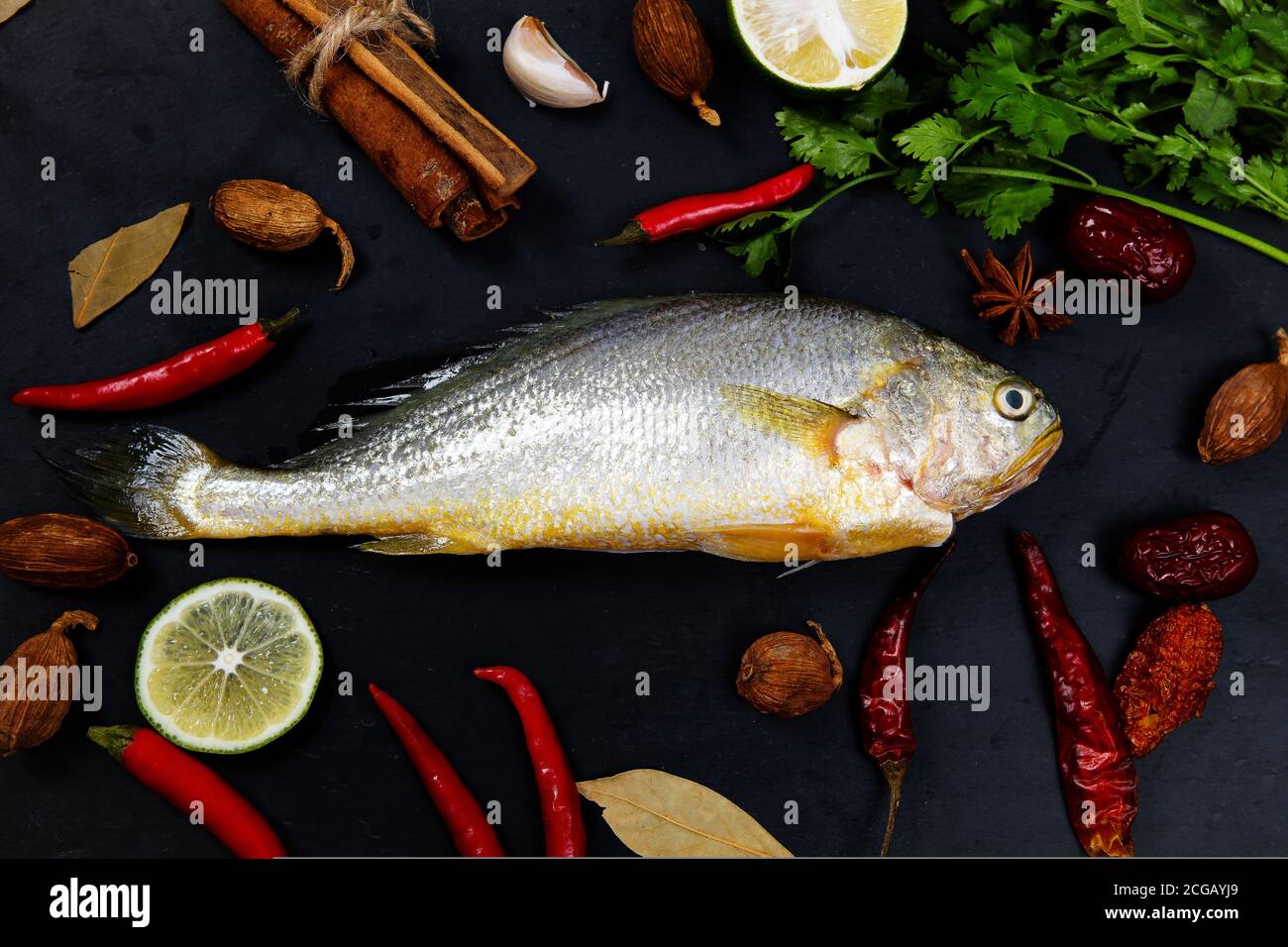 Croaker hi-res stock photography and images - Alamy