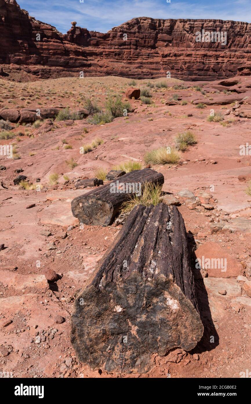 Large format photography pieces hi-res stock photography and images - Alamy