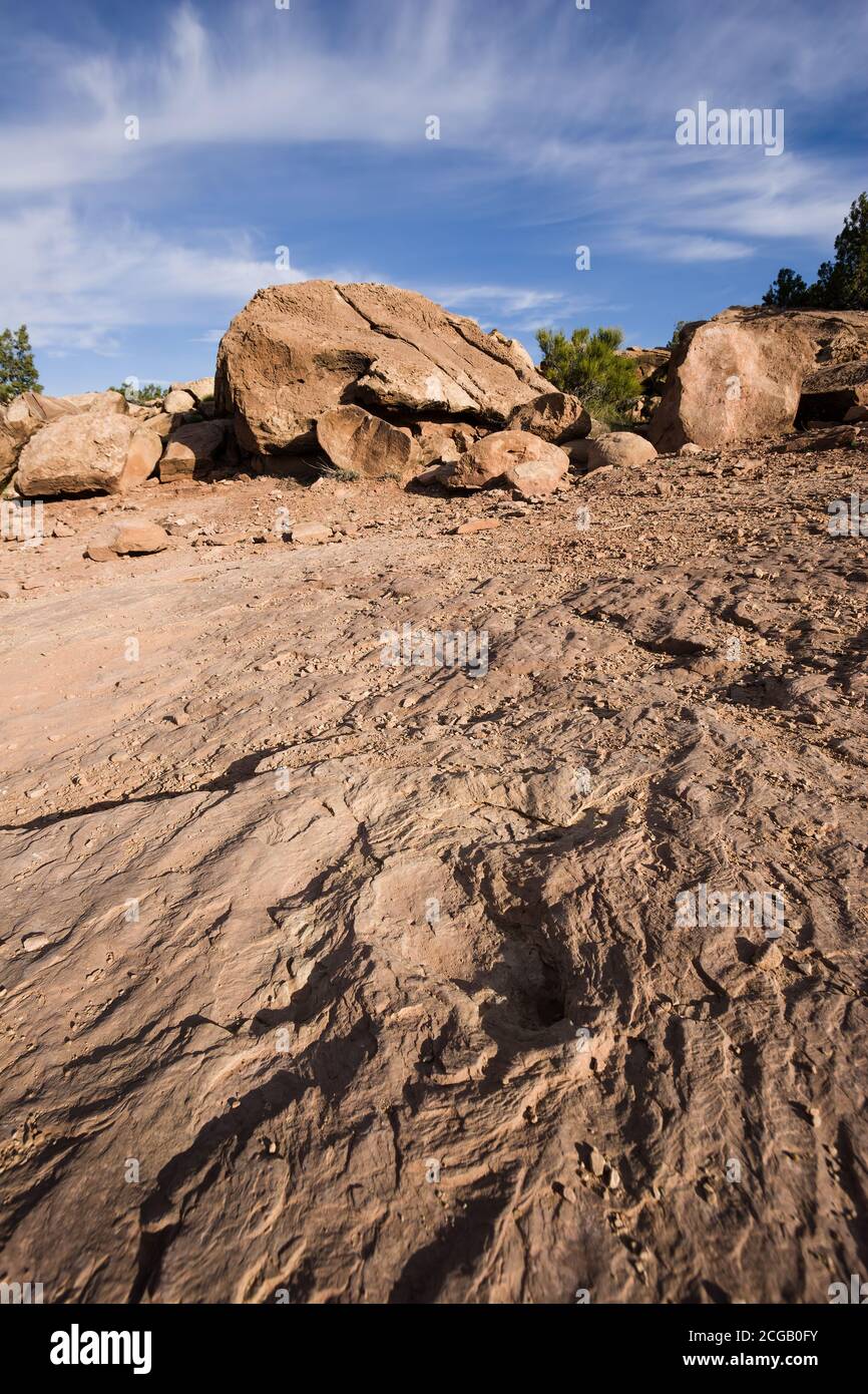Three toed dinosaur footprint hi-res stock photography and images - Alamy
