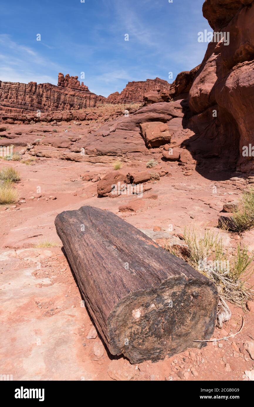 Cutler formation hi-res stock photography and images - Alamy