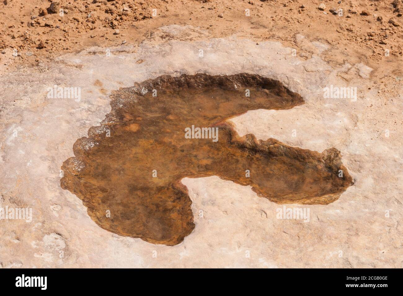 Three toed dinosaur footprint hi-res stock photography and images - Alamy