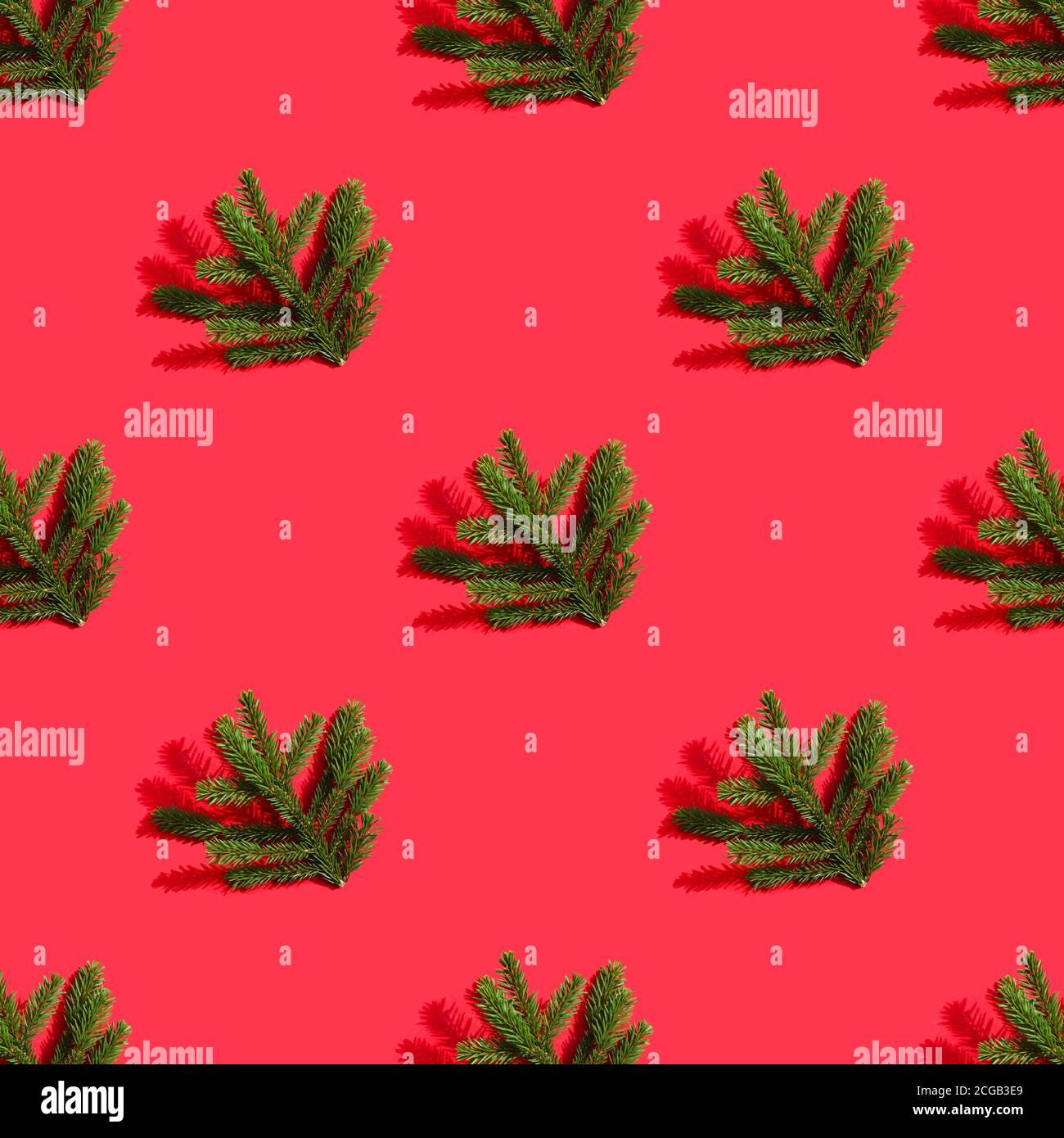 Minimal pattern background of green tree branch on red background . New ...