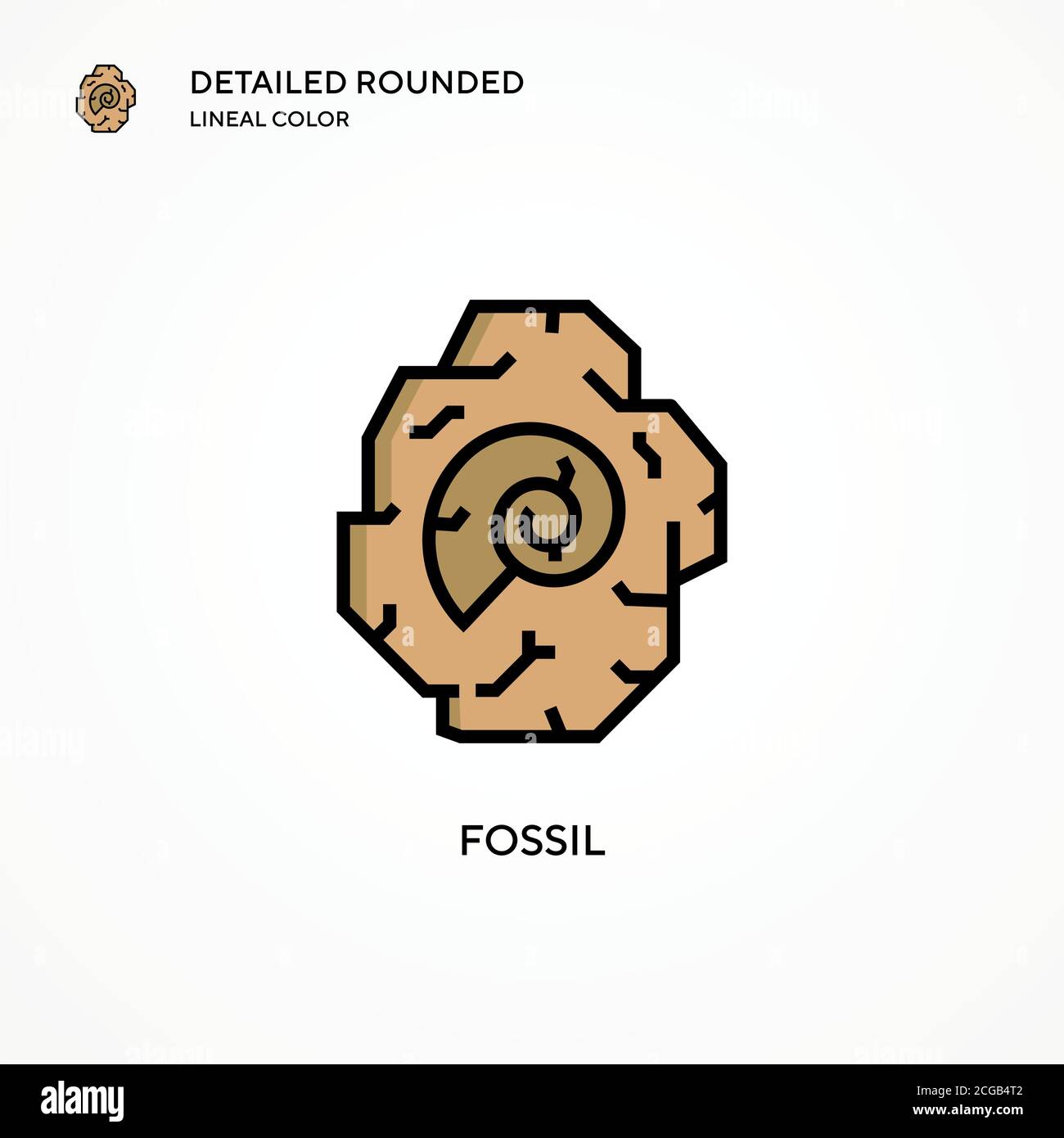 Plant and animal fossils fossil hi-res stock photography and images - Alamy