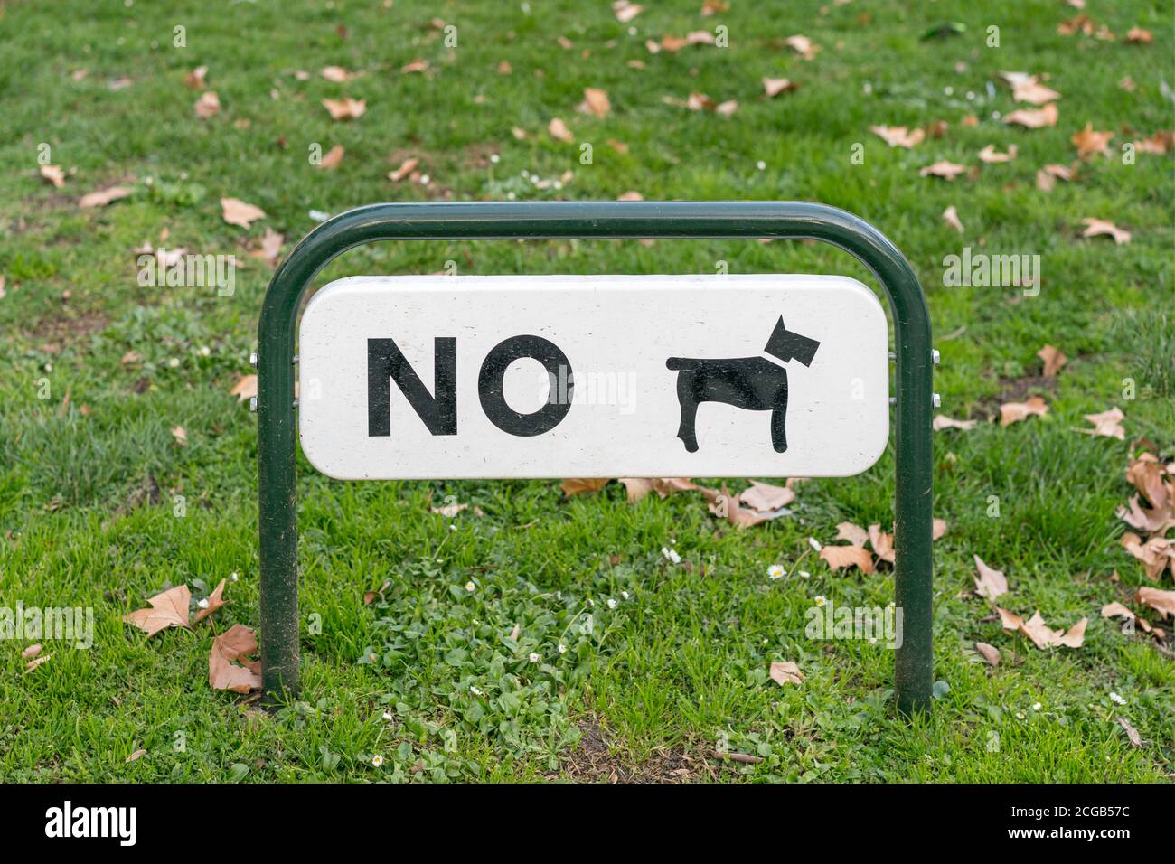 Banner sign it is forbidden to walk dogs in the park Stock Photo - Alamy