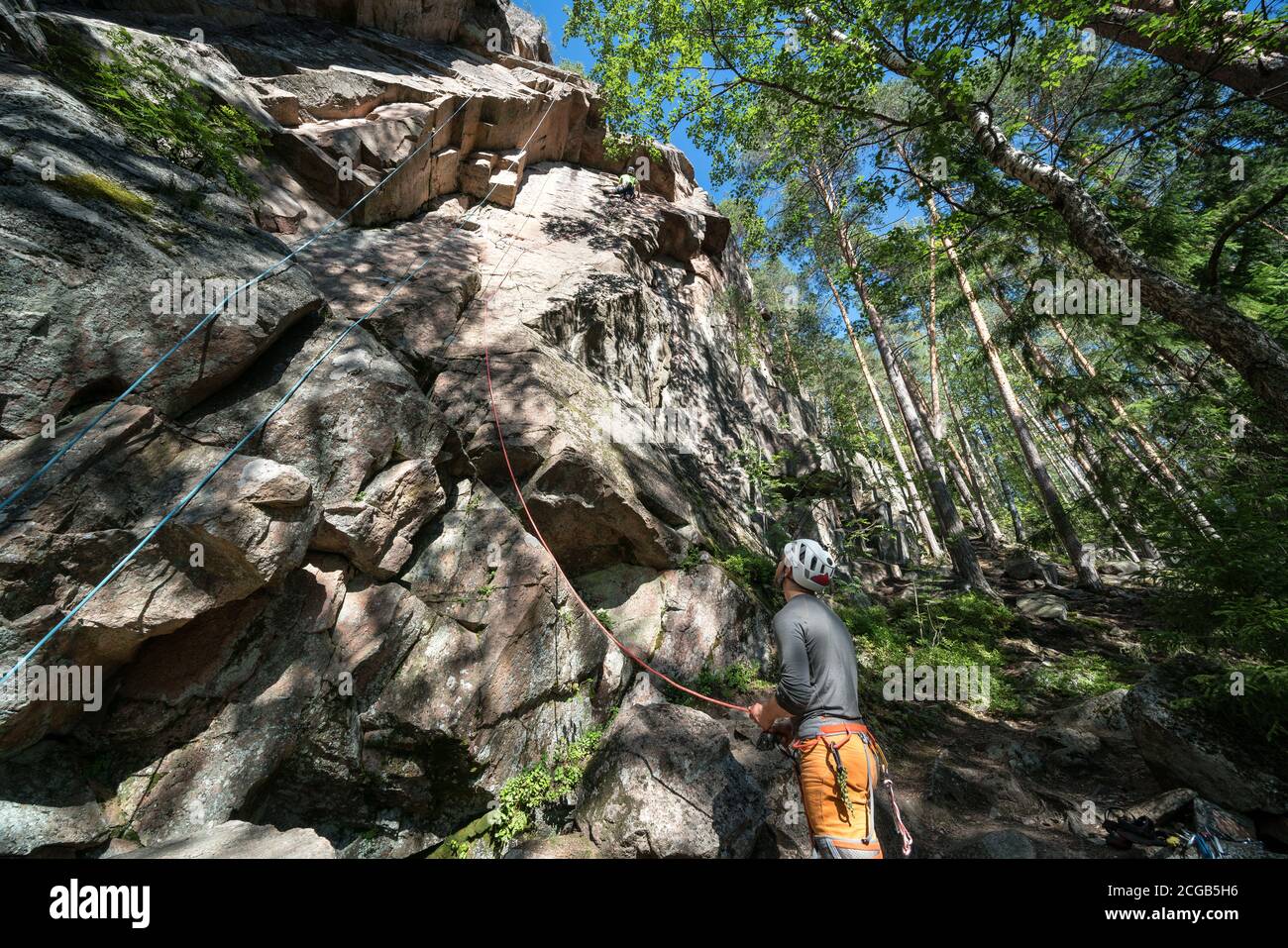 Climbing forest rope hi-res stock photography and images - Alamy