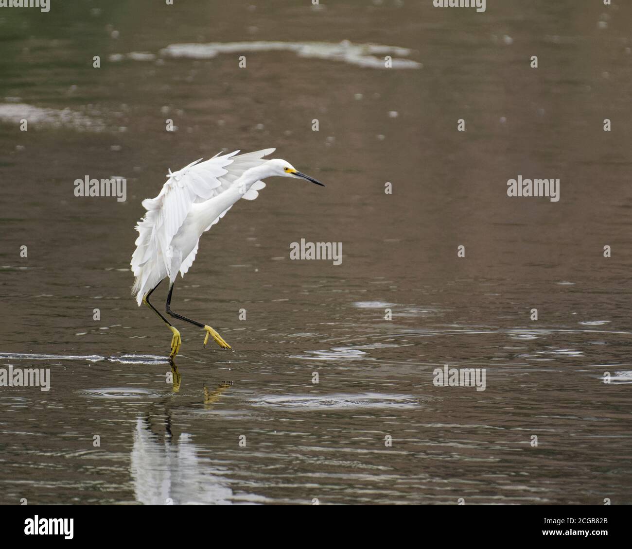 Balboa landing hi-res stock photography and images - Alamy