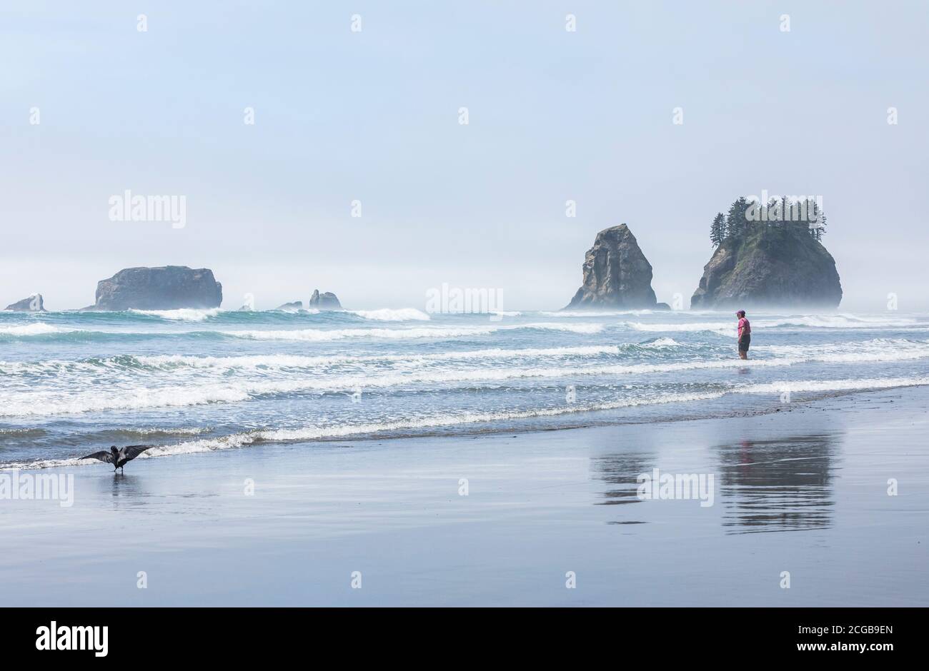 Surf wading hi-res stock photography and images - Alamy