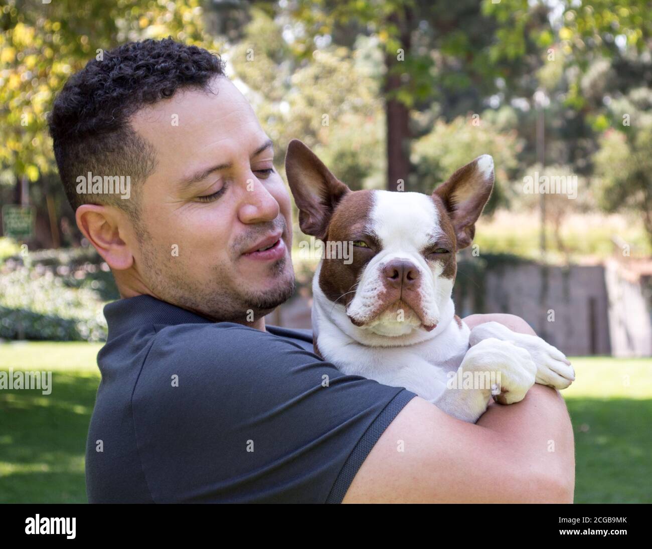 a young Hispanic man hugging an adorable sleepy brindle Boston terrier ...