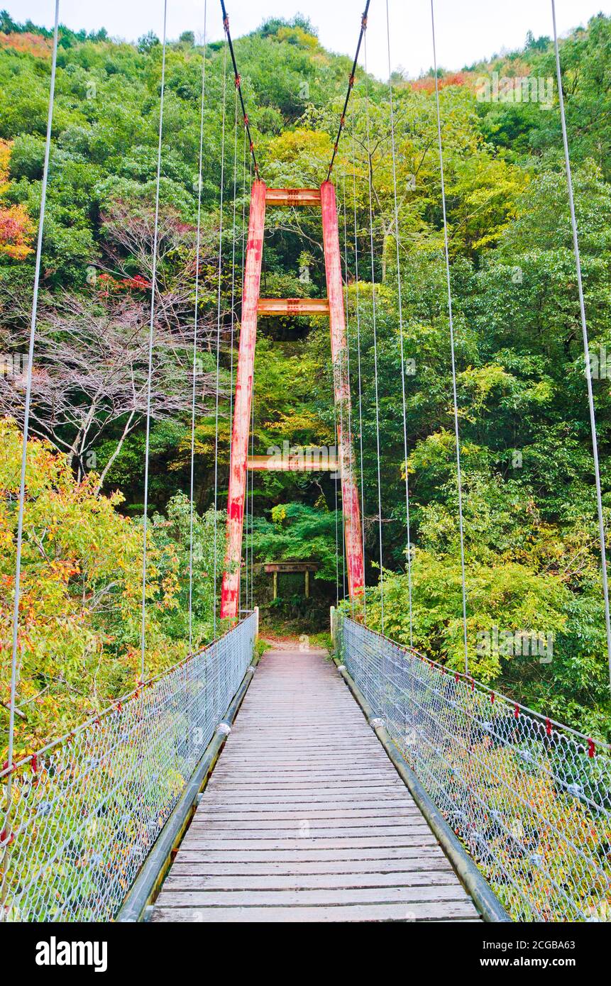 The bridge across Yoshino river in Iya valley, Shikoku, Japan Stock ...