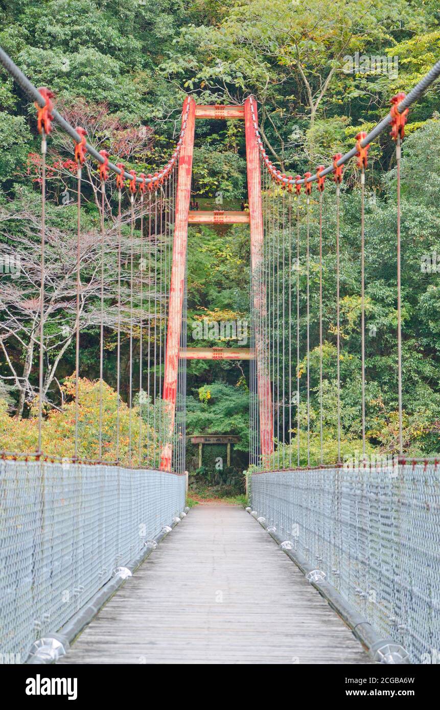 The bridge across Yoshino river in Iya valley, Shikoku, Japan Stock ...