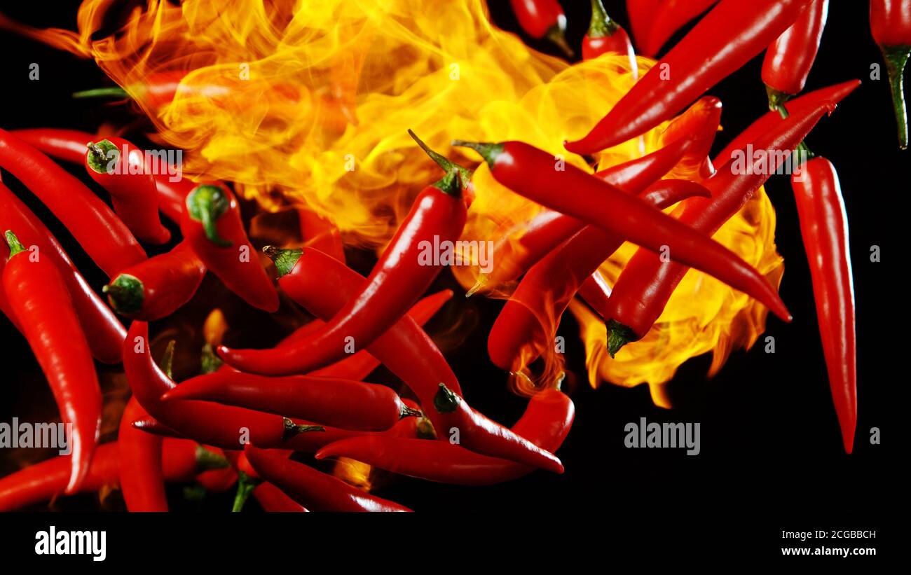 Flying red hot chilli peppers with flames, isolated on black background ...