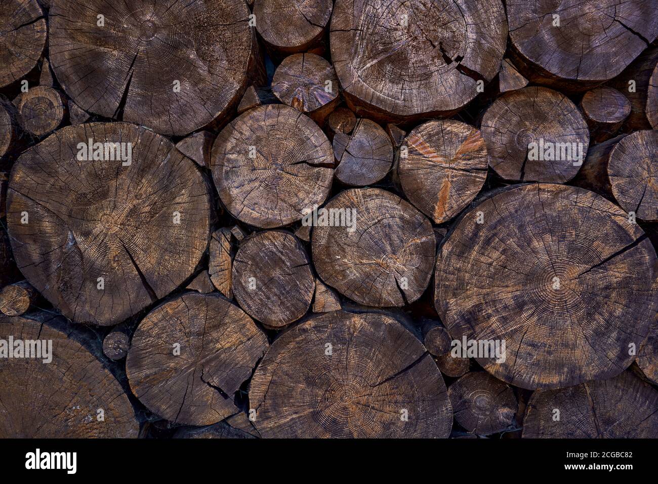 lot of big felled trees stacked side by side Stock Photo - Alamy