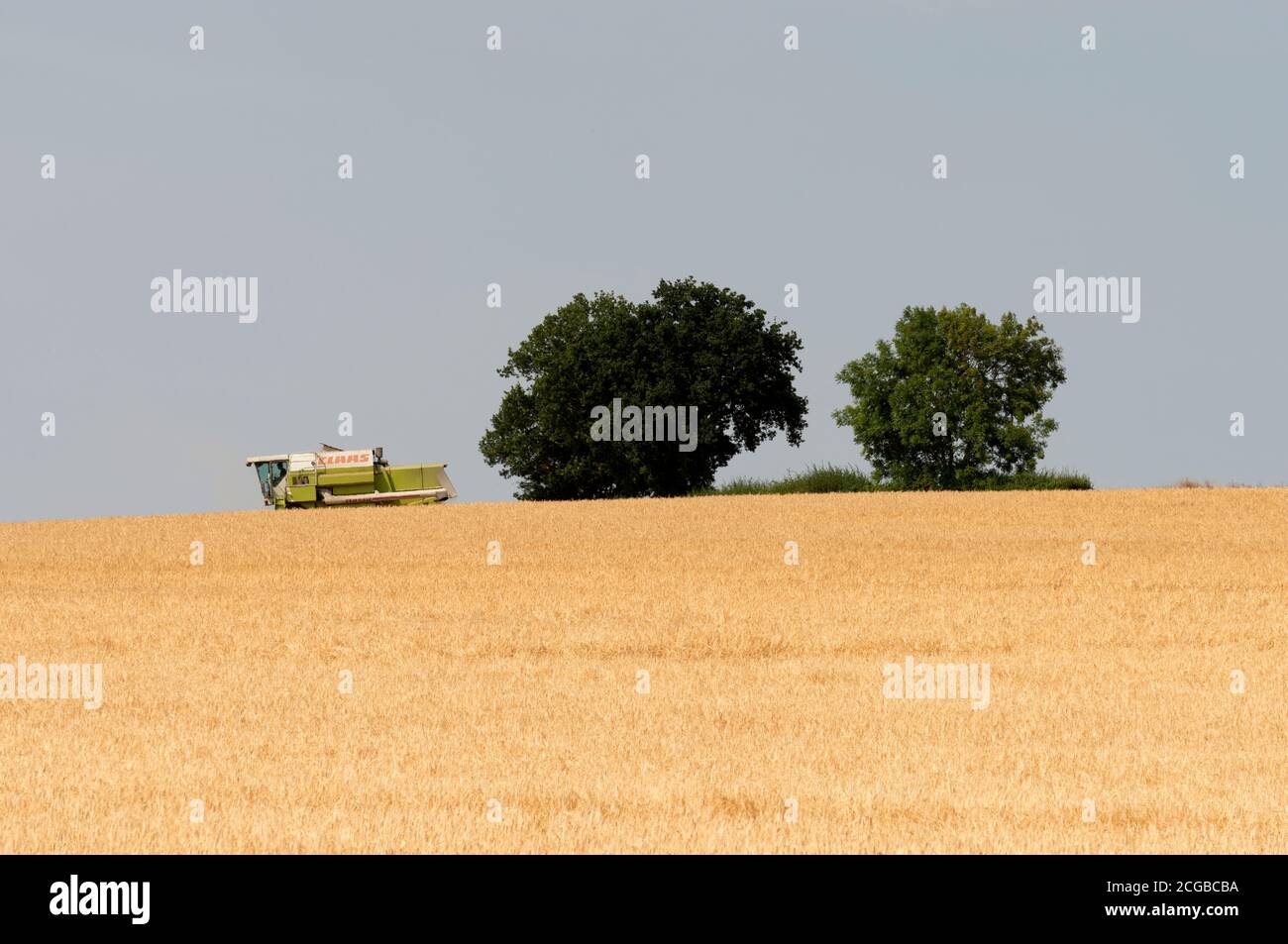 Class combine harvester, Sibton, Suffolk, UK Stock Photo - Alamy