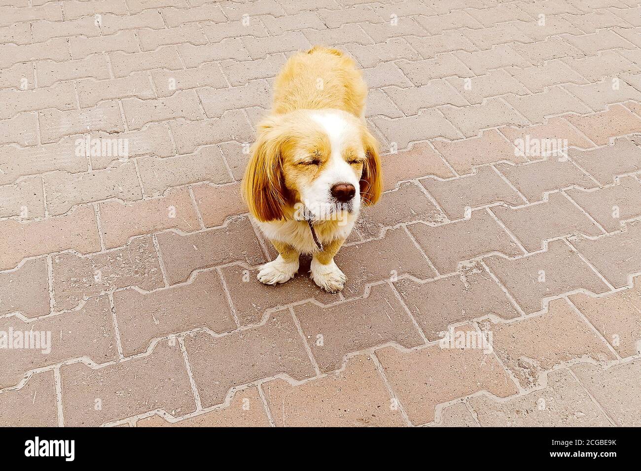 Lost view hi-res stock photography and images - Alamy