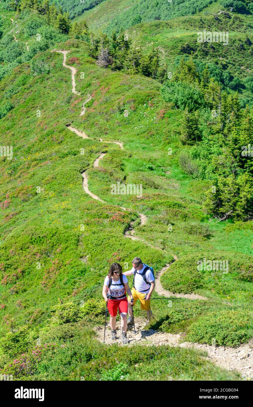 Couple doing hiking tour in alpine region Stock Photo - Alamy