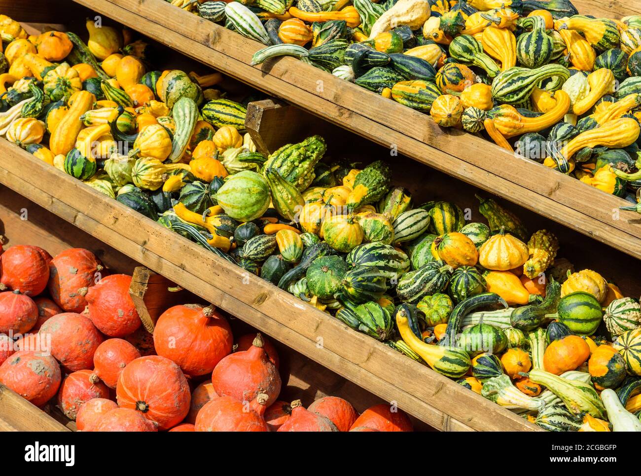 Many pumpkins presented for sale at outdoor market place Stock Photo ...