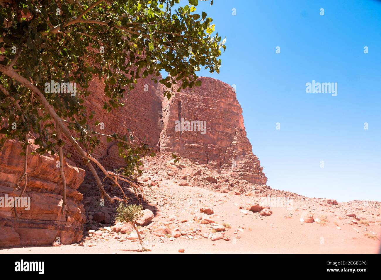 Wadi rum rock drawing hi-res stock photography and images - Alamy