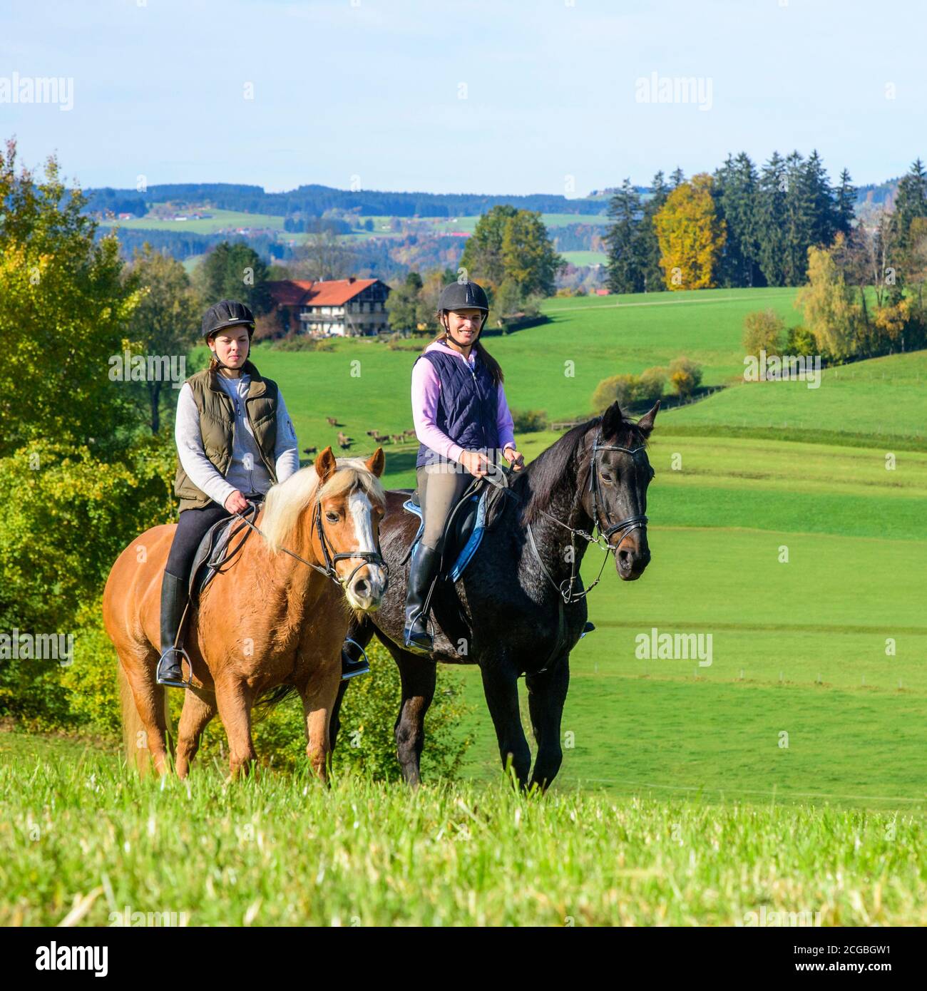 Autumn, horse riding hi-res stock photography and images - Alamy