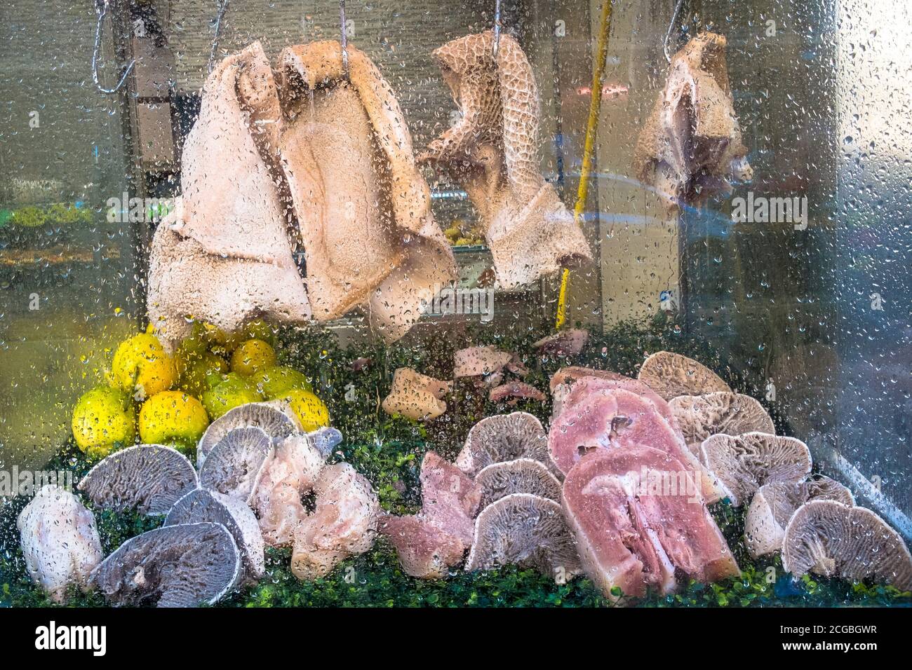 Pork snout, traditional street food in naples Stock Photo - Alamy