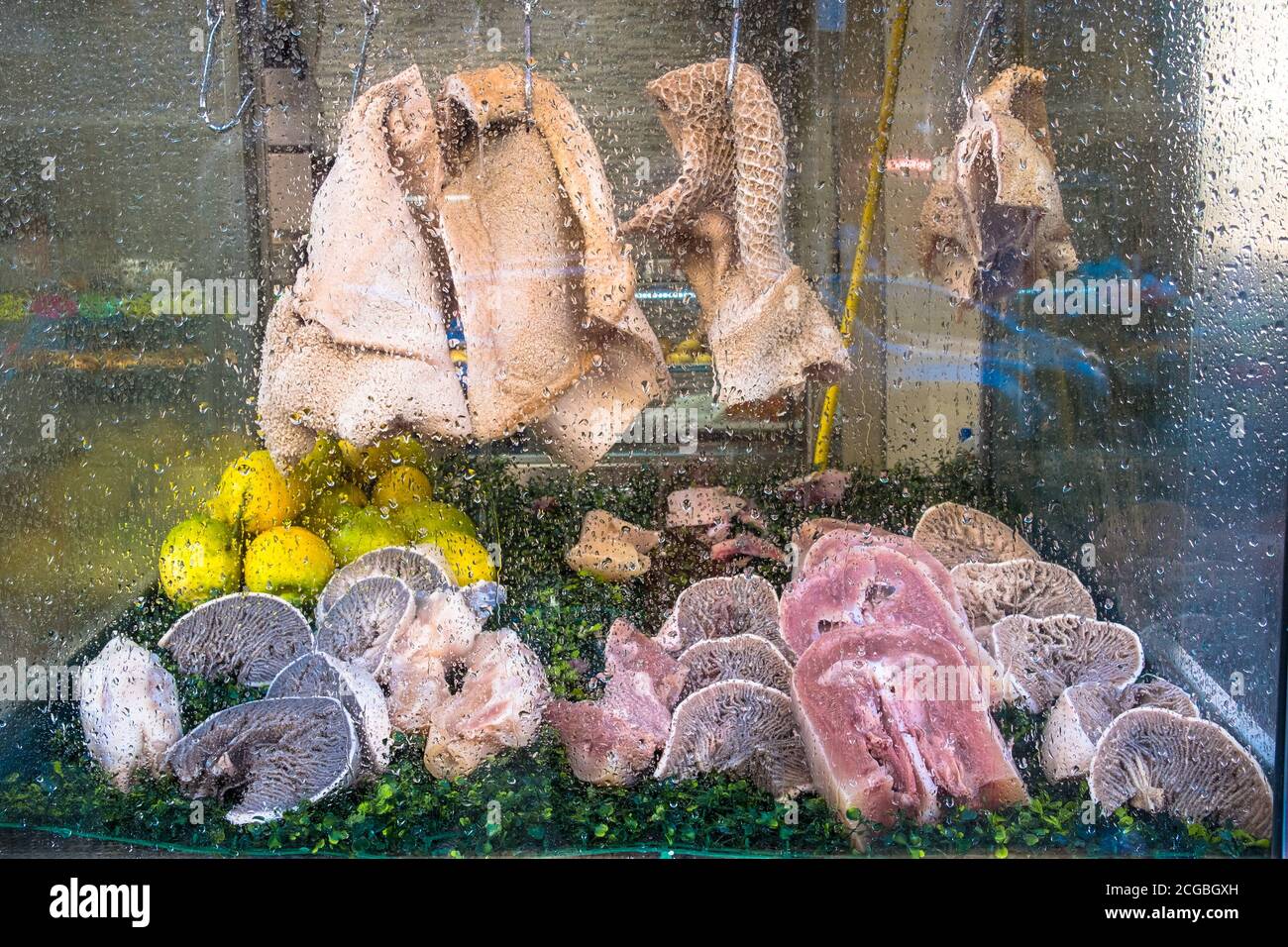 Pork snout, traditional street food in naples Stock Photo - Alamy