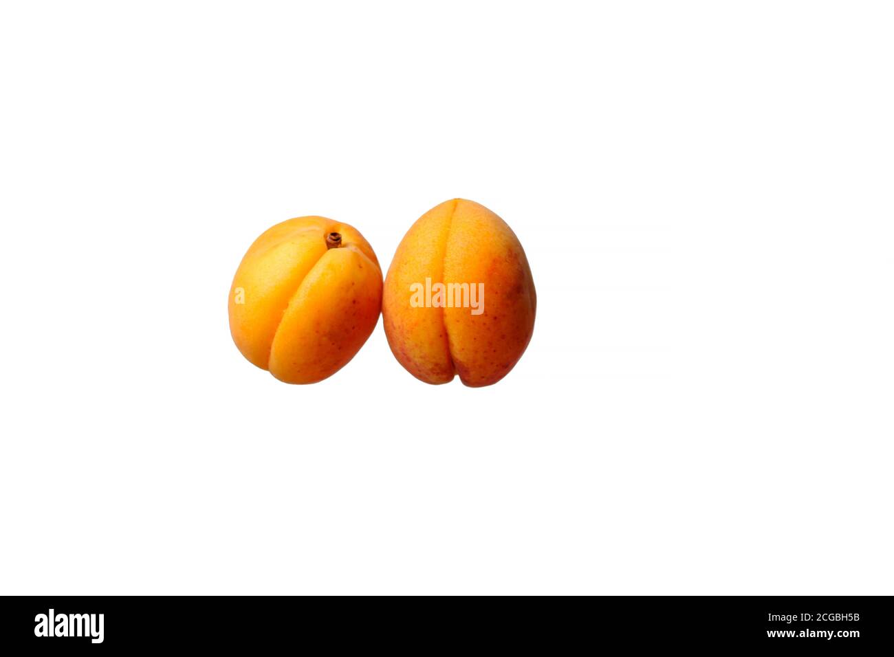 Two whole apricots isolated on white background Stock Photo - Alamy