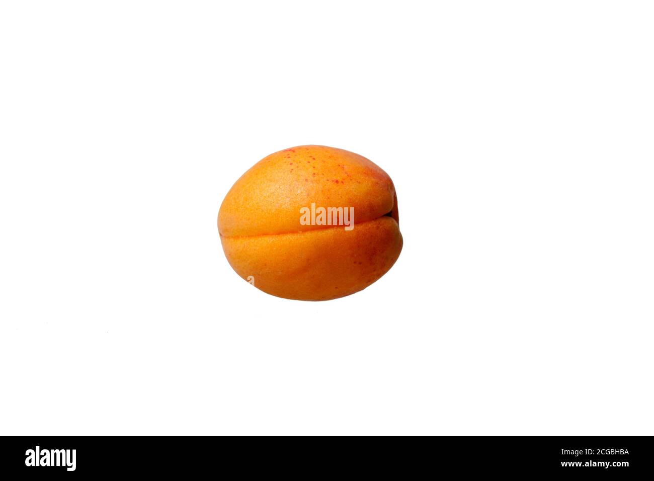 Single whole apricot isolated on white background. idea and concept of ...