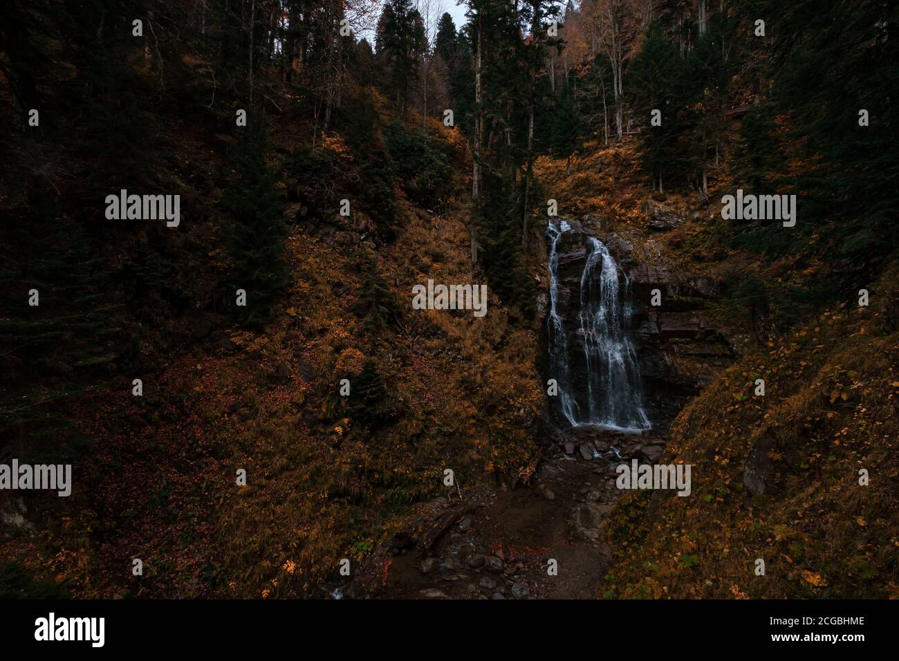 River deep in mountain forest. Nature composition. Mendelich River in ...