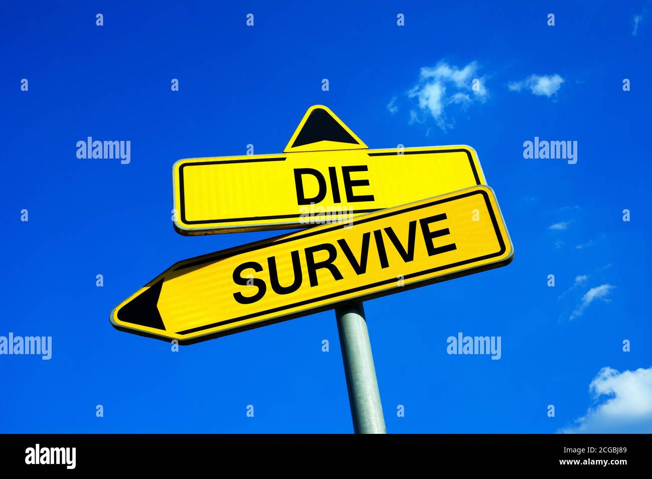 Die or Survive - Traffic sign with two options - death of live after ...