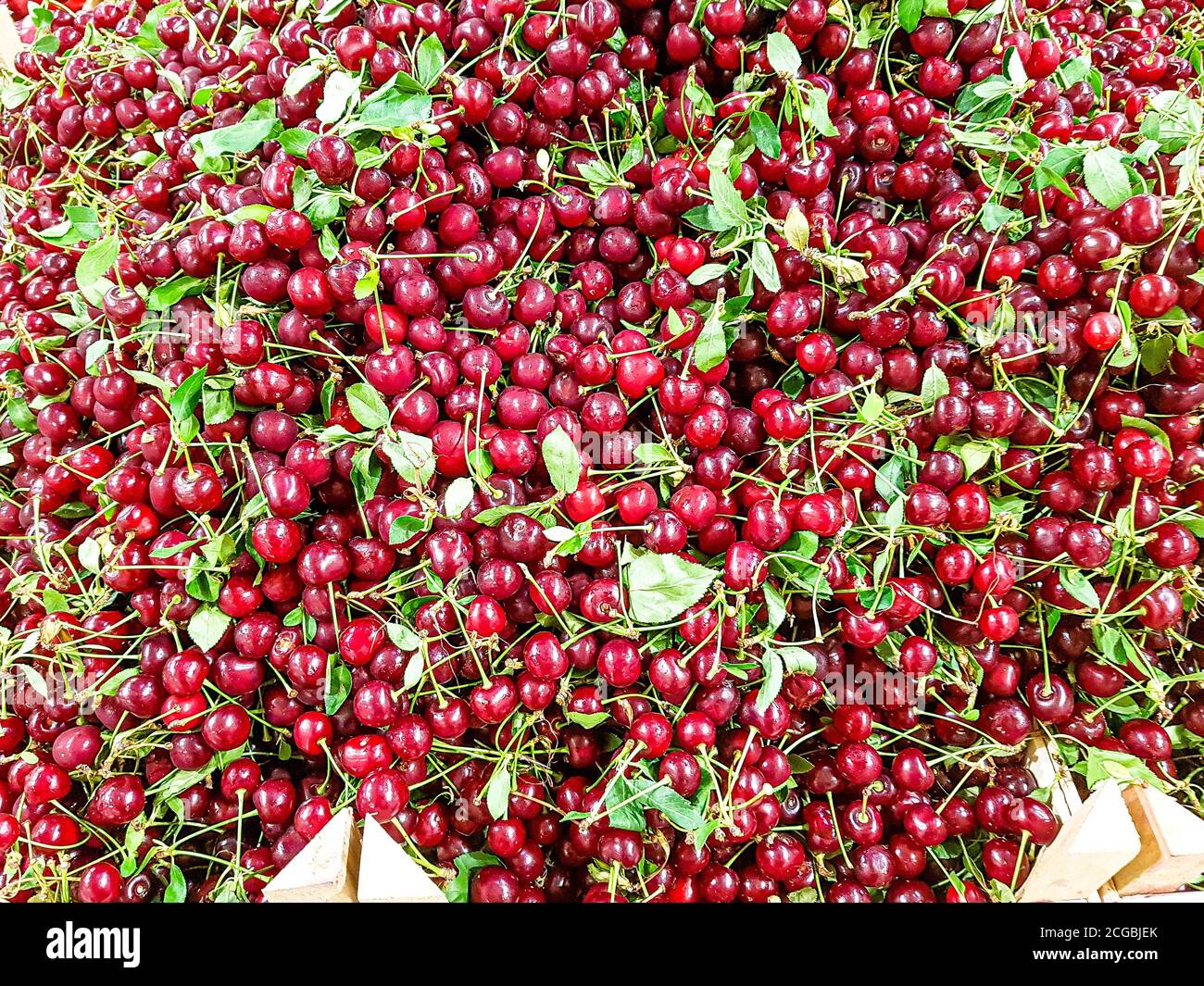 Retail counter box hi-res stock photography and images - Alamy