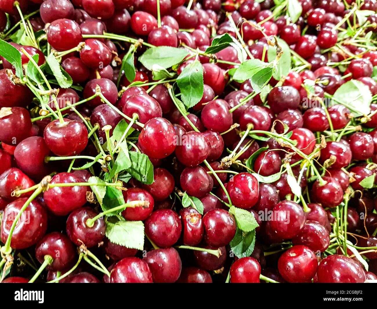 Retail counter box hi-res stock photography and images - Alamy