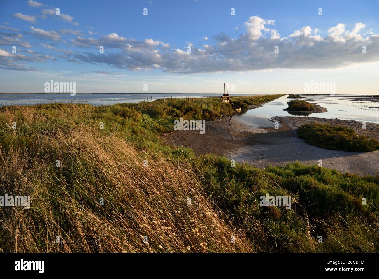 Regional nature park of the camargue hi-res stock photography and ...