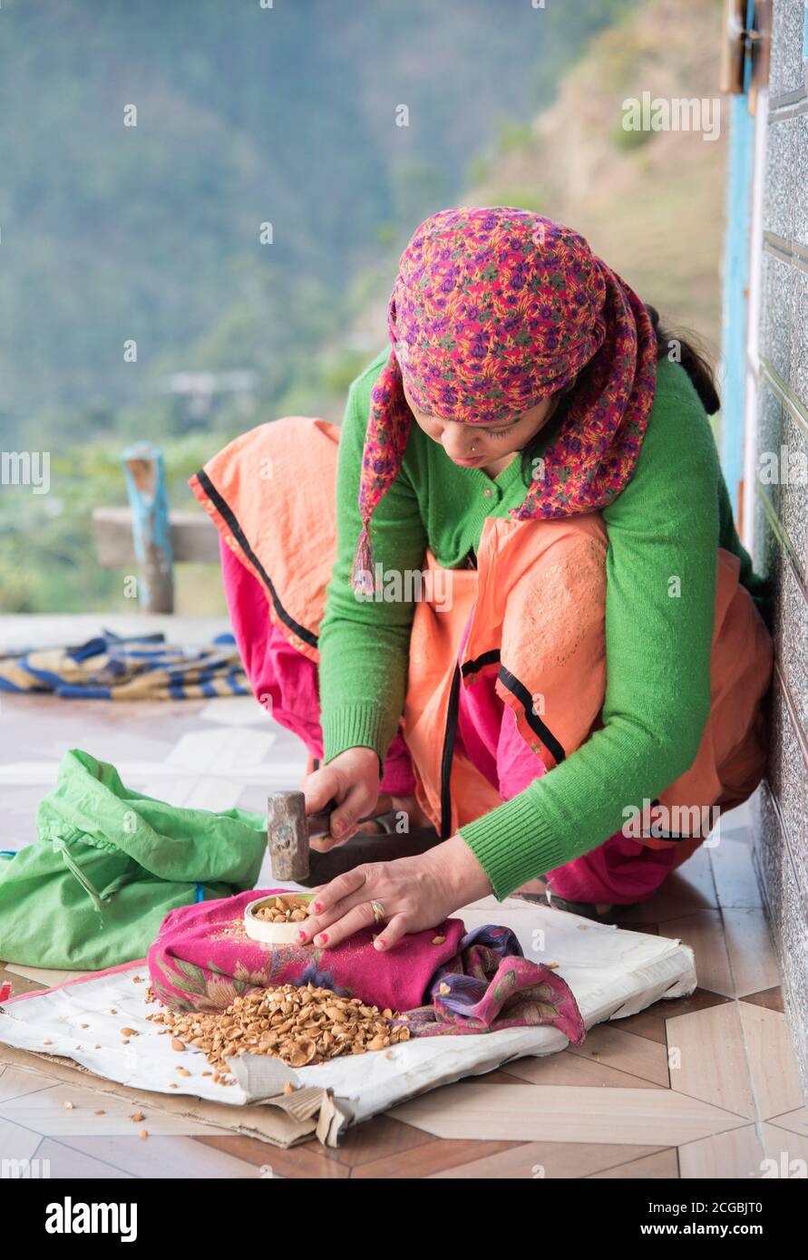 Cracking nuts hi-res stock photography and images - Alamy