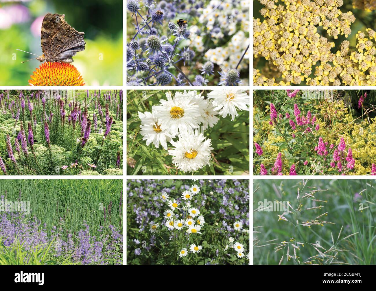 Collage beautiful nature landscapes hi-res stock photography and images ...