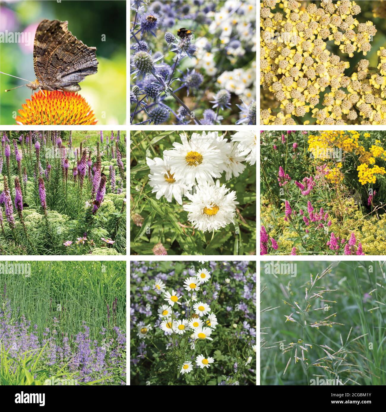 Summer collage from natural landscapes Stock Photo - Alamy