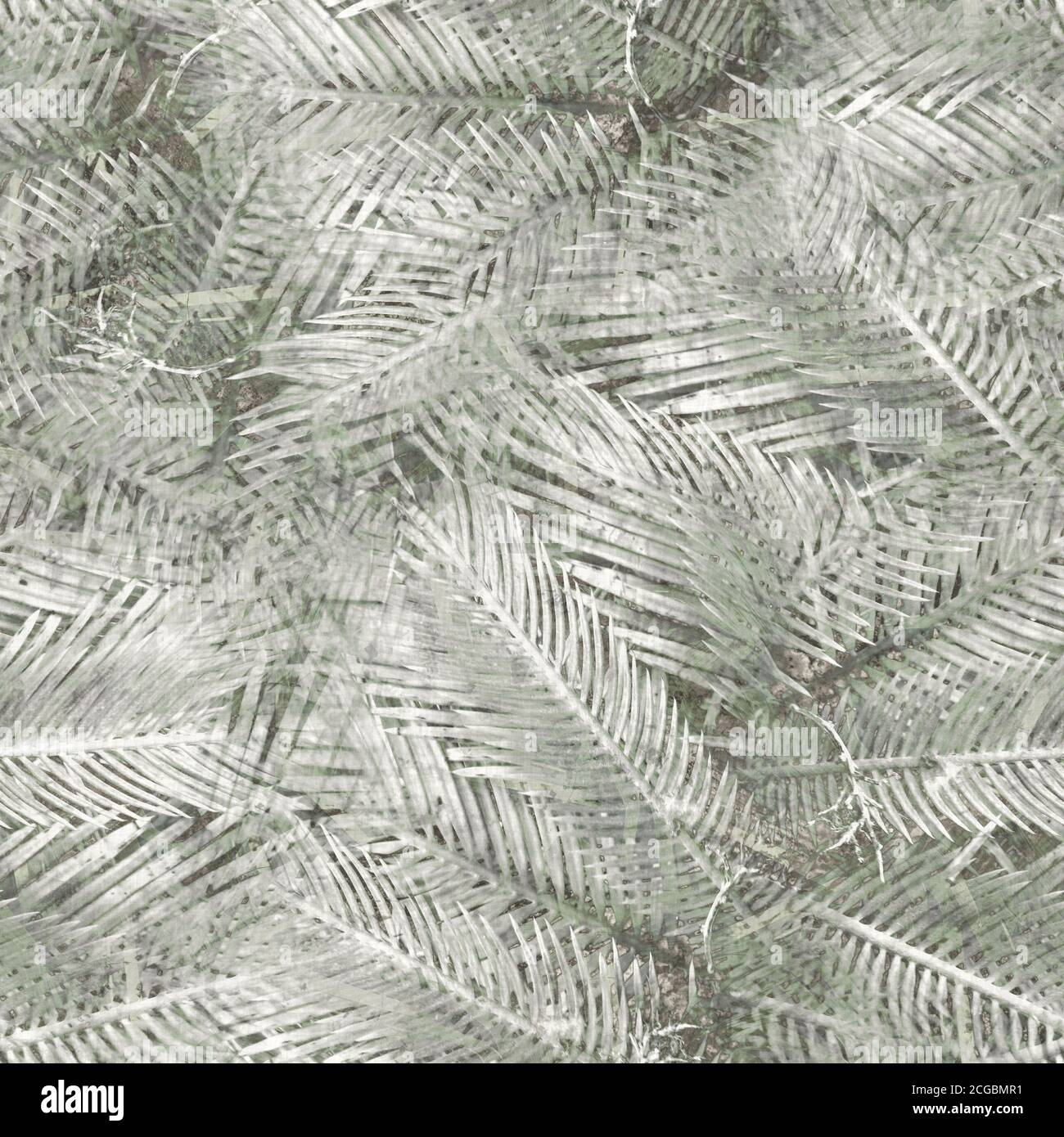 Neutral tropical palm tree leaves seamless pattern Stock Photo - Alamy