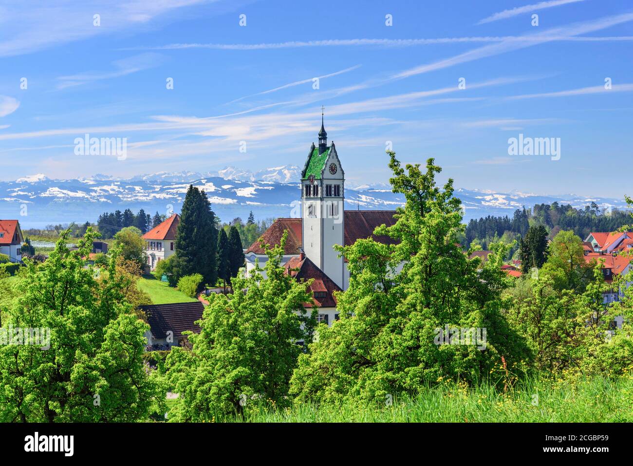 Beautiful village within fruit trees near lake Constance Stock Photo ...