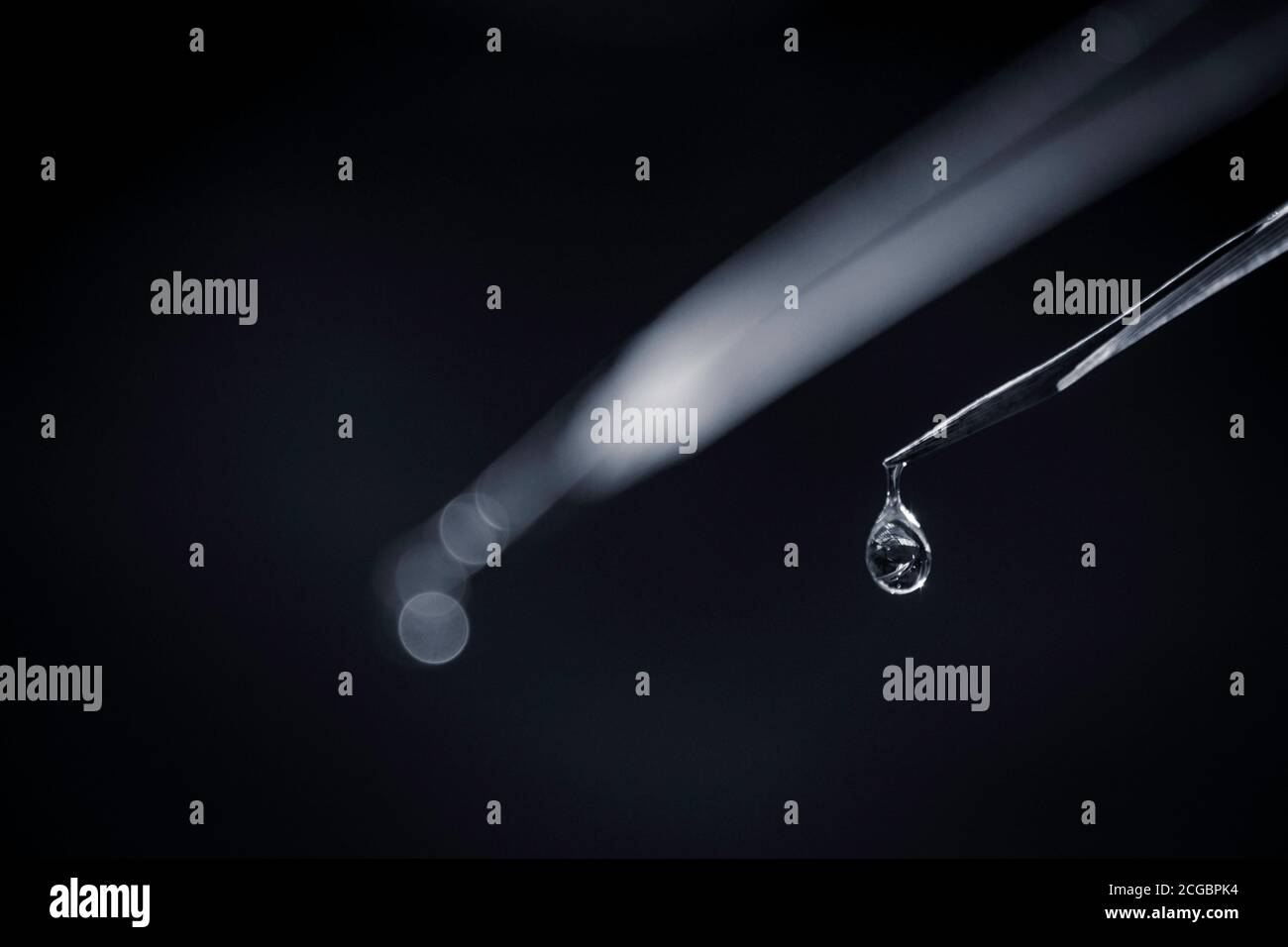 Plantscenic hi-res stock photography and images - Alamy