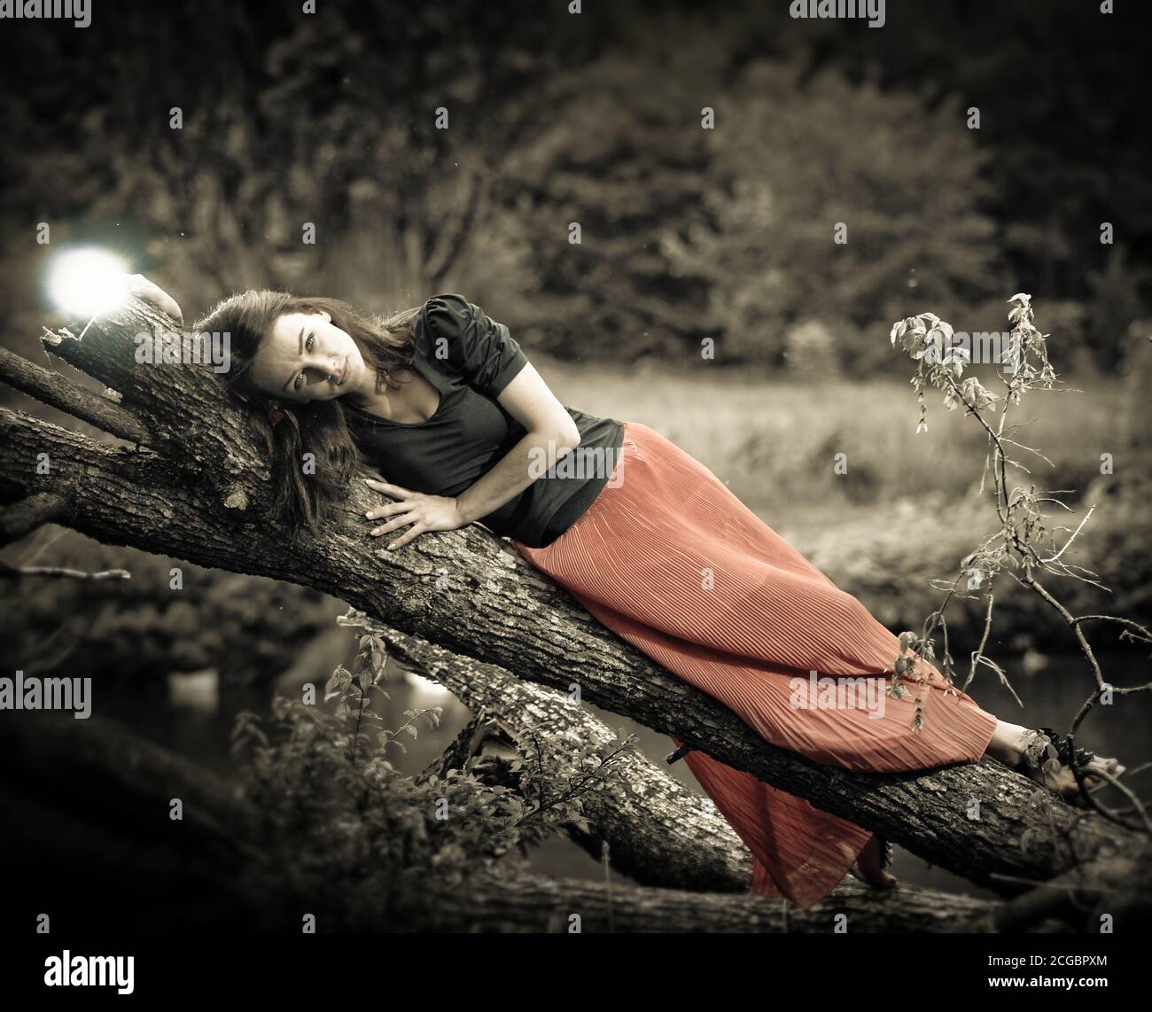 woman portrait over broken tree Stock Photo - Alamy