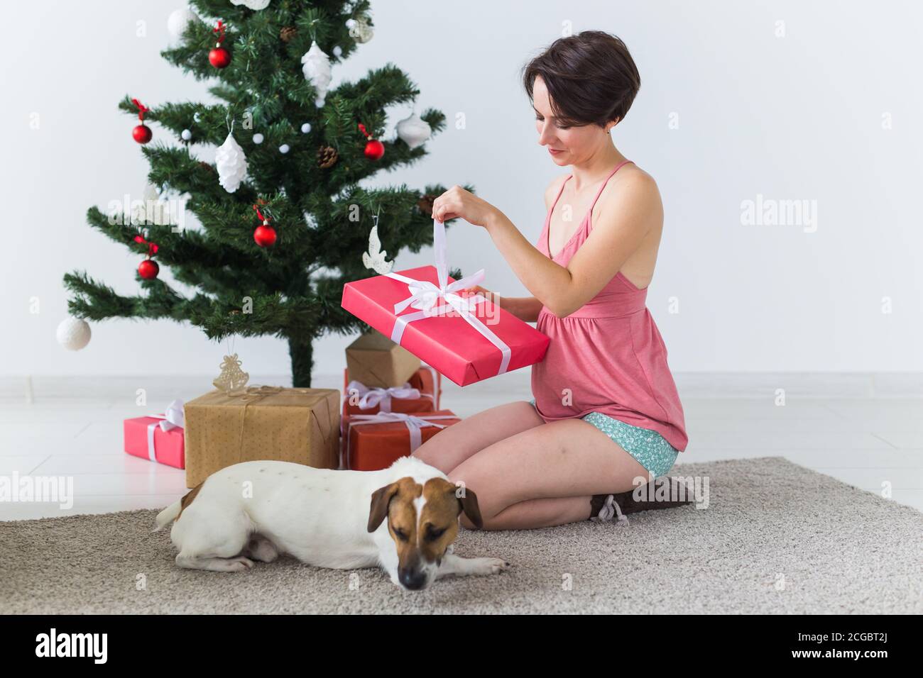 Happy woman with dog opening Christmas gifts. Christmas tree with ...