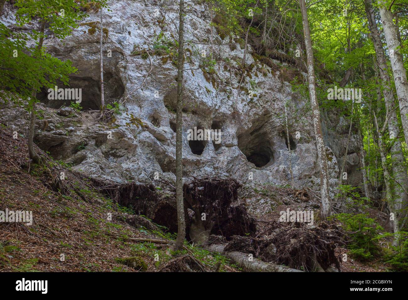 Cave formed mineral hi-res stock photography and images - Alamy