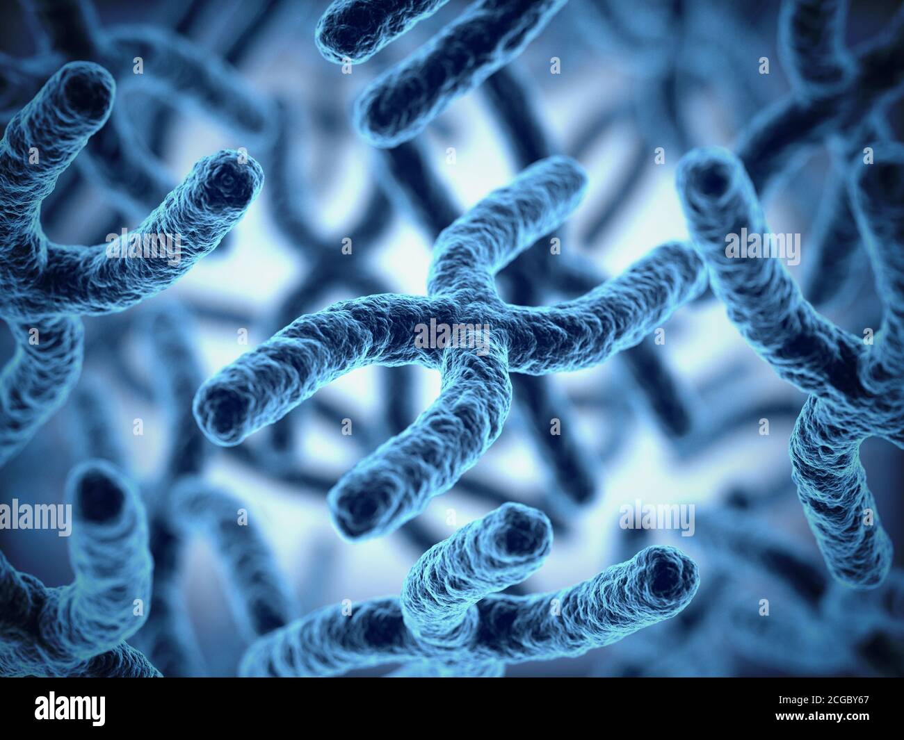 Chromosomes hi-res stock photography and images - Alamy