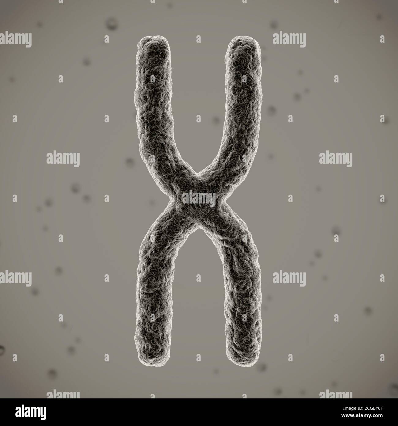 Chromosomes microscope hi-res stock photography and images - Alamy