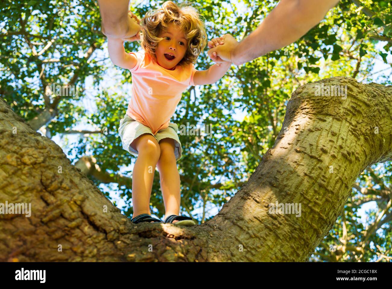 Father helping son climb a tree. Happy kid climbing up tree and having ...