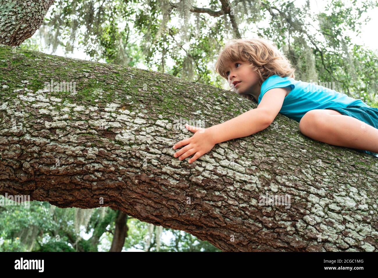 Boy Climbing Tree High Resolution Stock Photography and Images - Alamy