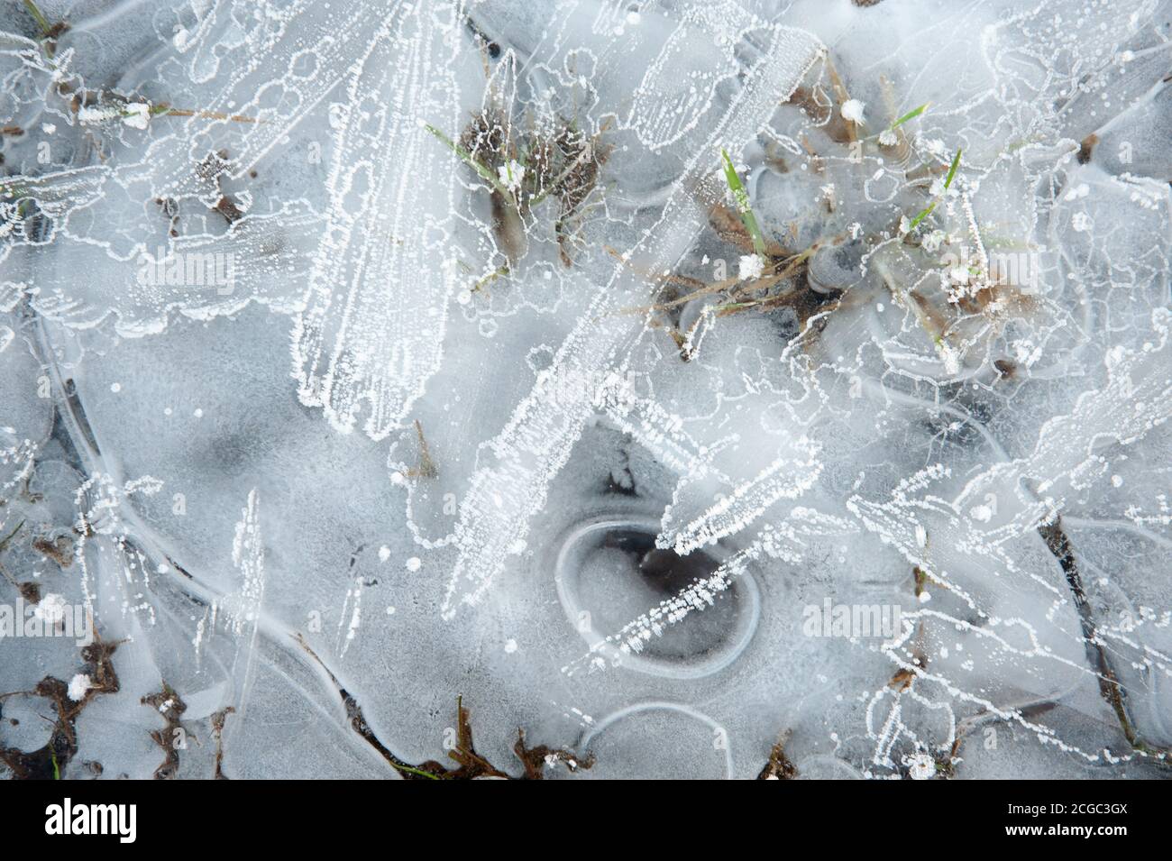 Frozen ice patterns Stock Photo - Alamy