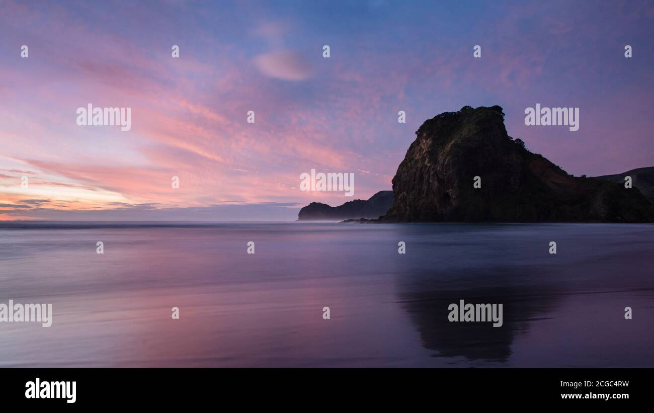 Waitakere regional park hi-res stock photography and images - Alamy