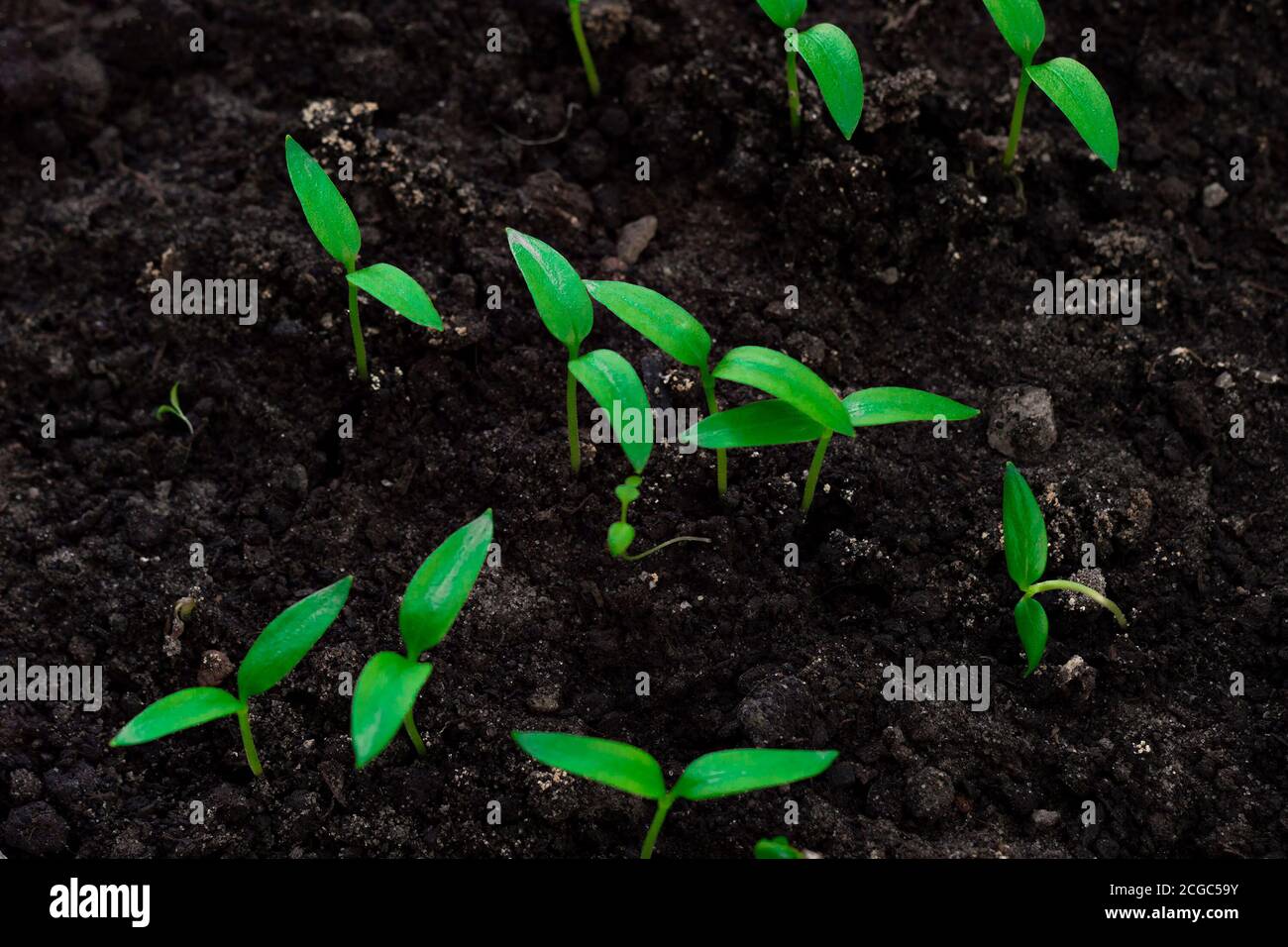 Top view fertile land hi-res stock photography and images - Alamy