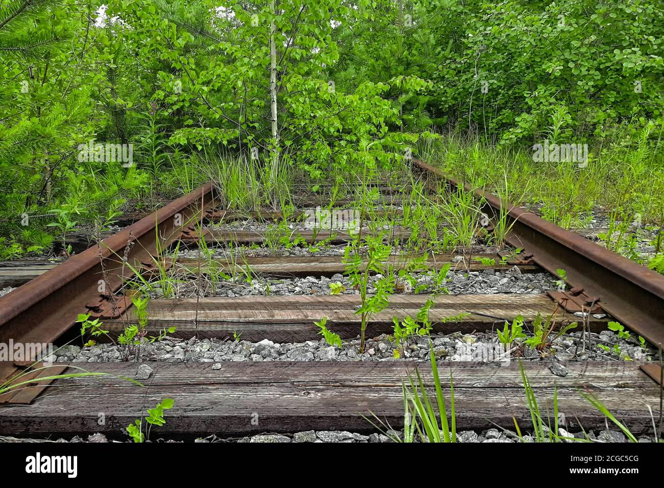 Railroad track winding through forest Stock Photo - Alamy
